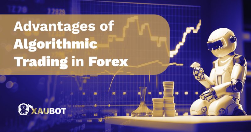 Understanding Algorithmic Trading Robots Xaubot