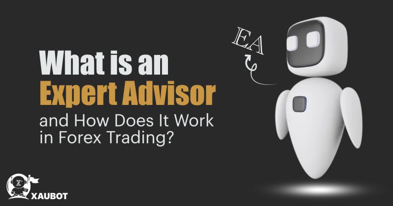 What is an Expert Advisor (EA) and How Does It Work in Forex Trading ...